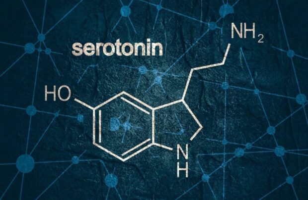 Everything You Should Know About Serotonin - PracticalCME Medical Training