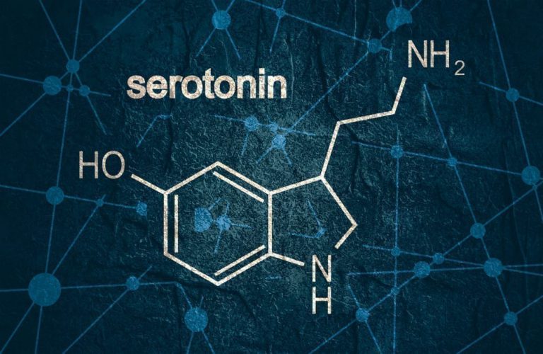 Everything You Should Know About Serotonin - PracticalCME Medical Training